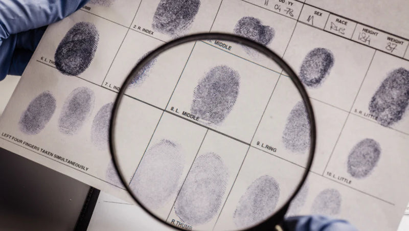 Forensic Science – The H.U.B.